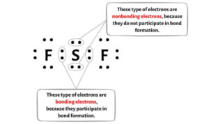 SF2 Lewis Structure in 6 Steps (With Images)