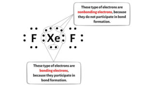 XeF2 Lewis Structure in 5 Steps (With Images)