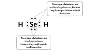 H2Se Lewis Structure in 6 Steps (With Images)