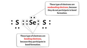 SeS2 Lewis Structure in 6 Steps (With Images)