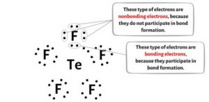 TeF5- Lewis Structure in 5 Steps (With Images)