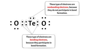 TeO2 Lewis Structure in 6 Steps (With Images)