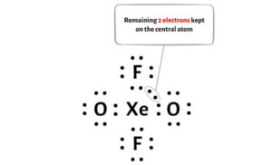 XeO2F2 Lewis Structure in 5 Steps (With Images)