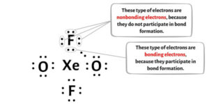 XeO2F2 Lewis Structure in 5 Steps (With Images)